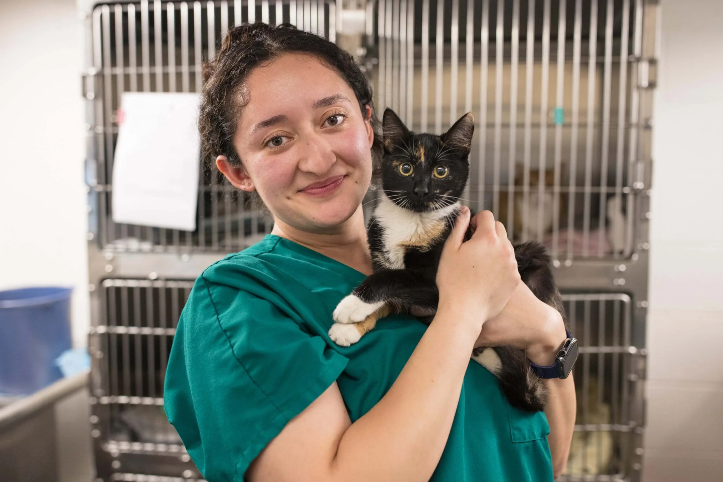 APPOINTMENT INFO — ANIMAL FIX CLINIC