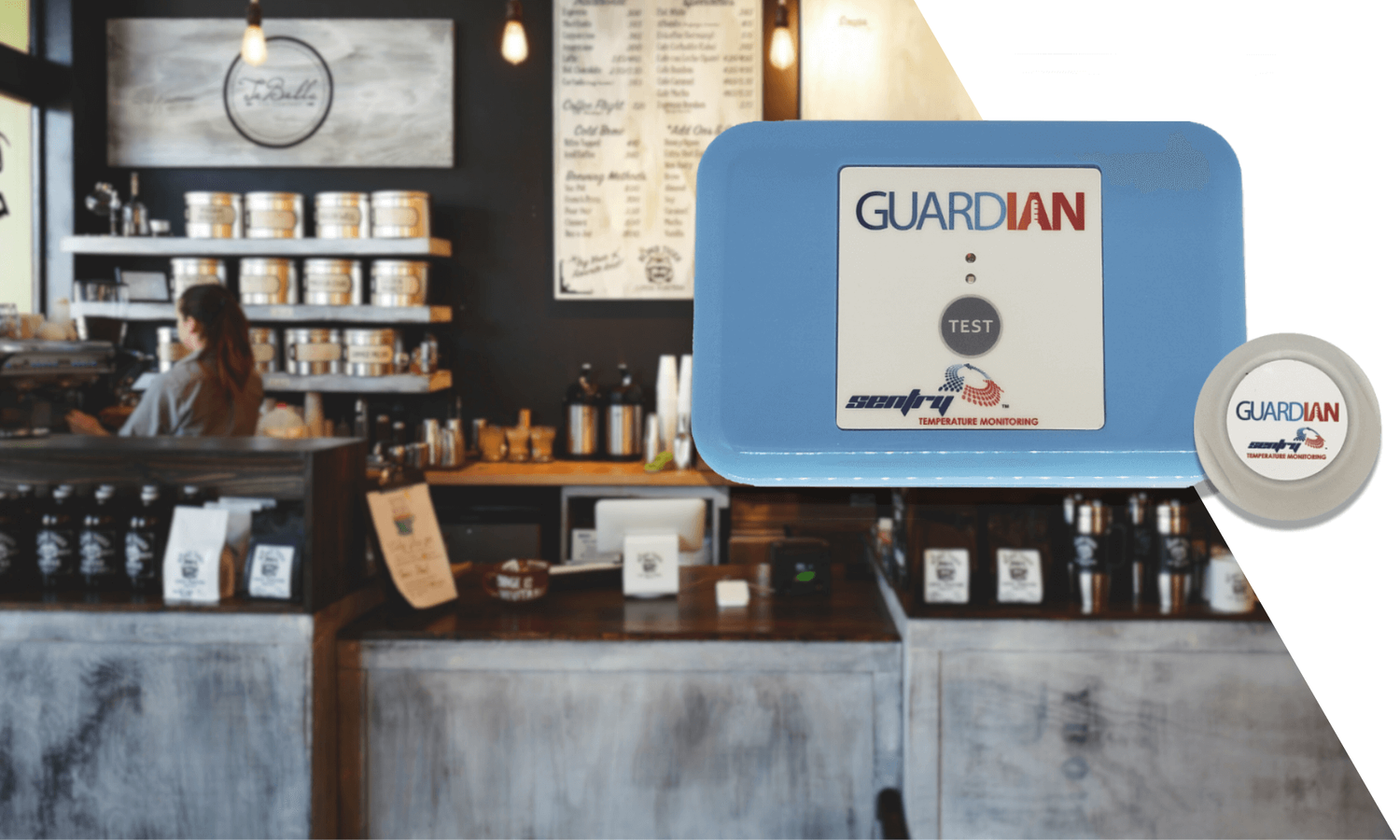 Temperature Monitoring Solutions — Watchdog Alarms