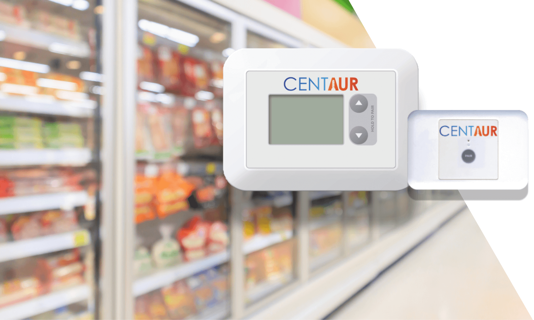 Temperature Monitoring Solutions — Watchdog Alarms