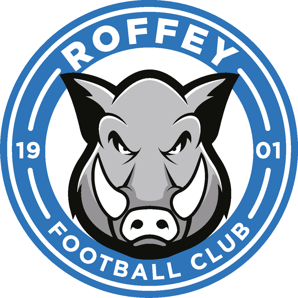 roffey fc — Roffey Robins FC