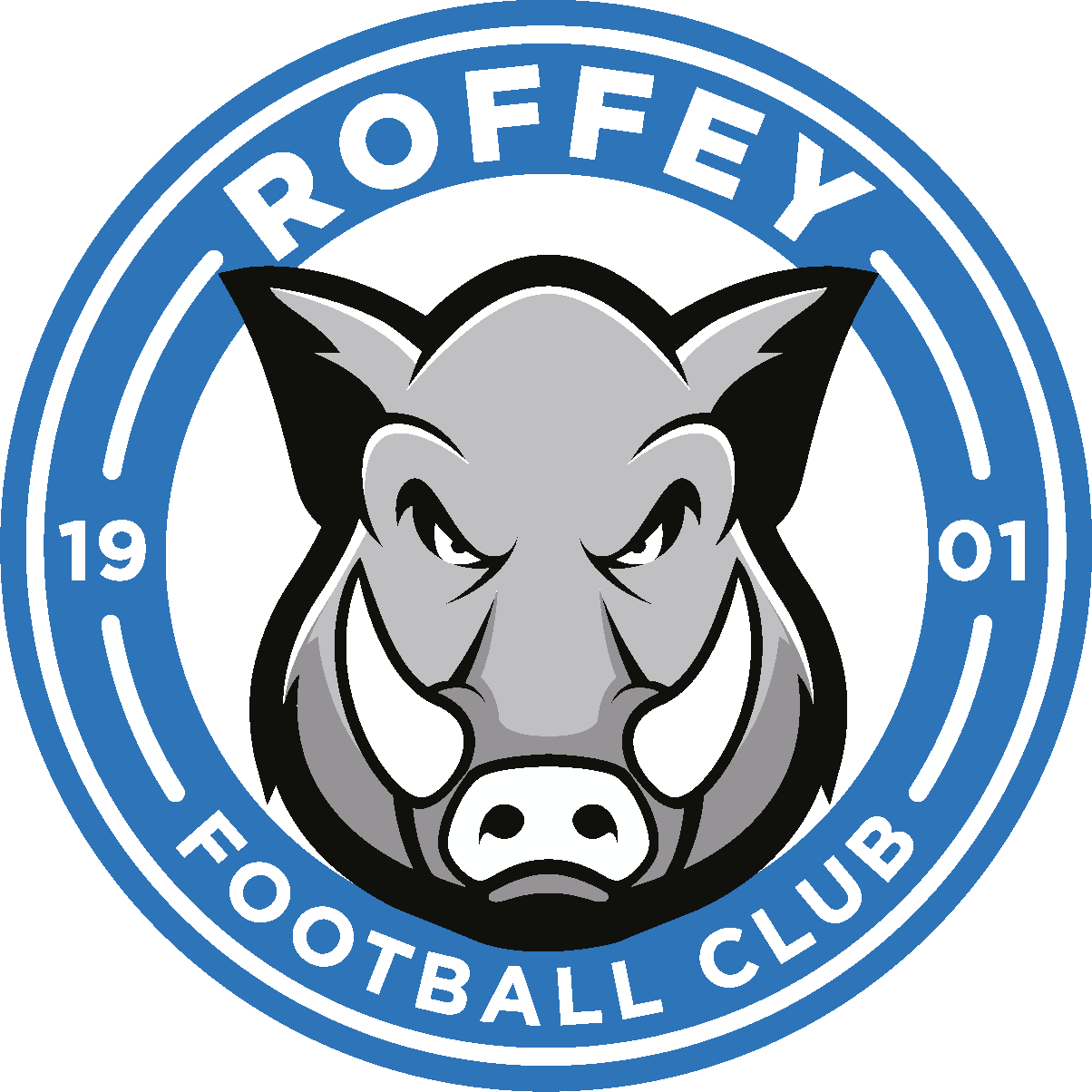 roffey fc — Roffey Robins FC
