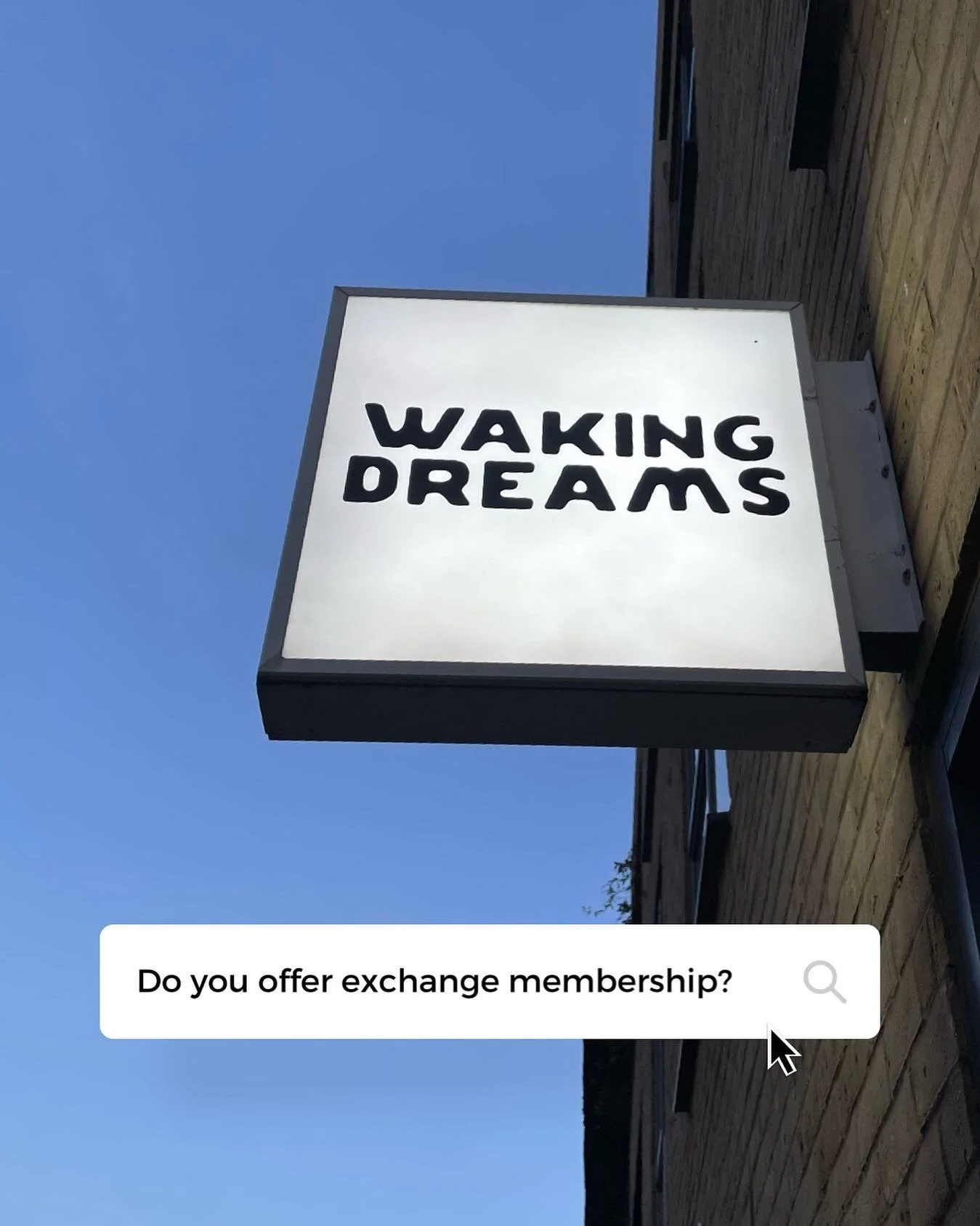 Waking Dreams | Progressive Yoga, Movement & Strength Studio in East London