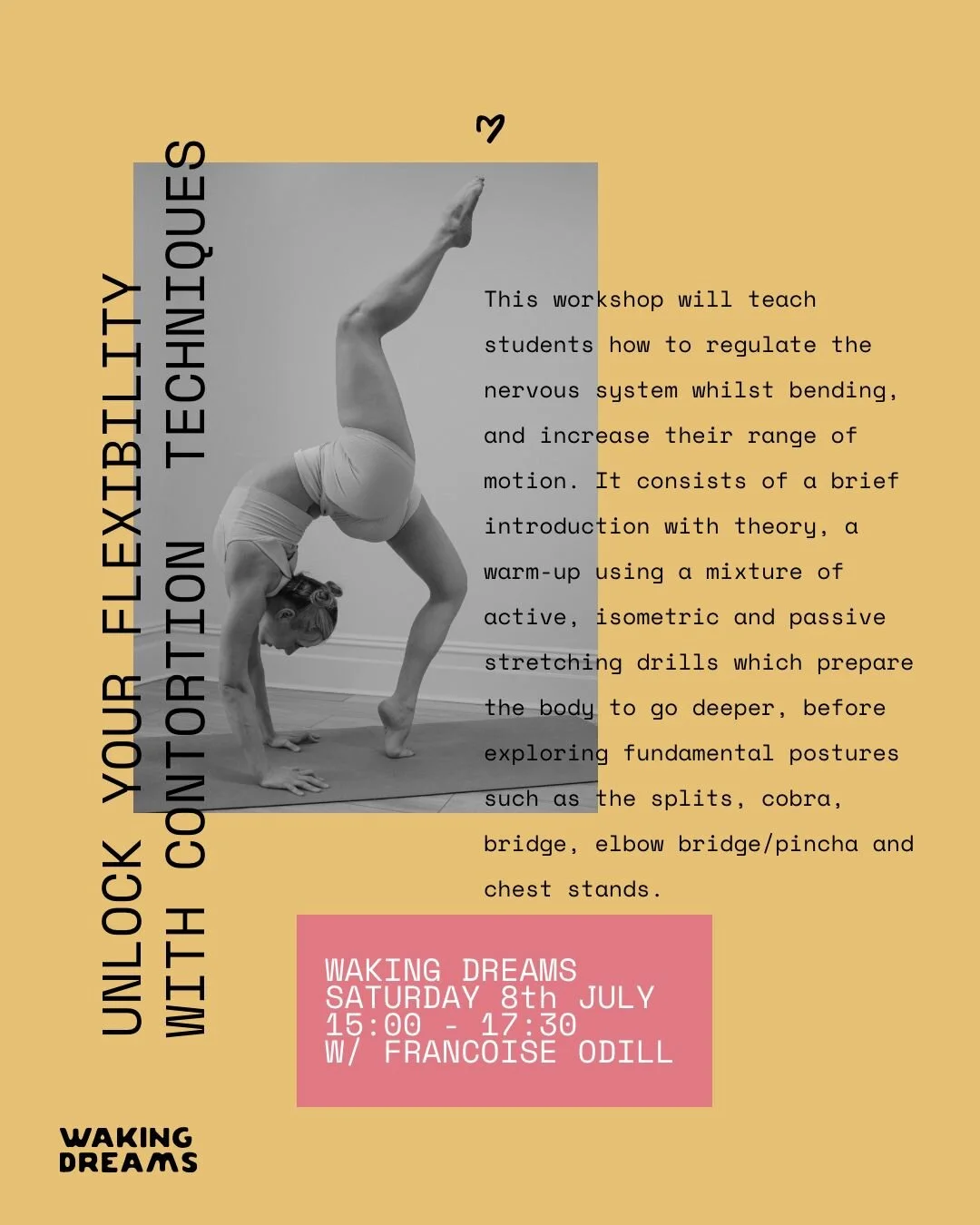 Waking Dreams | Progressive Yoga, Movement & Strength Studio in East London