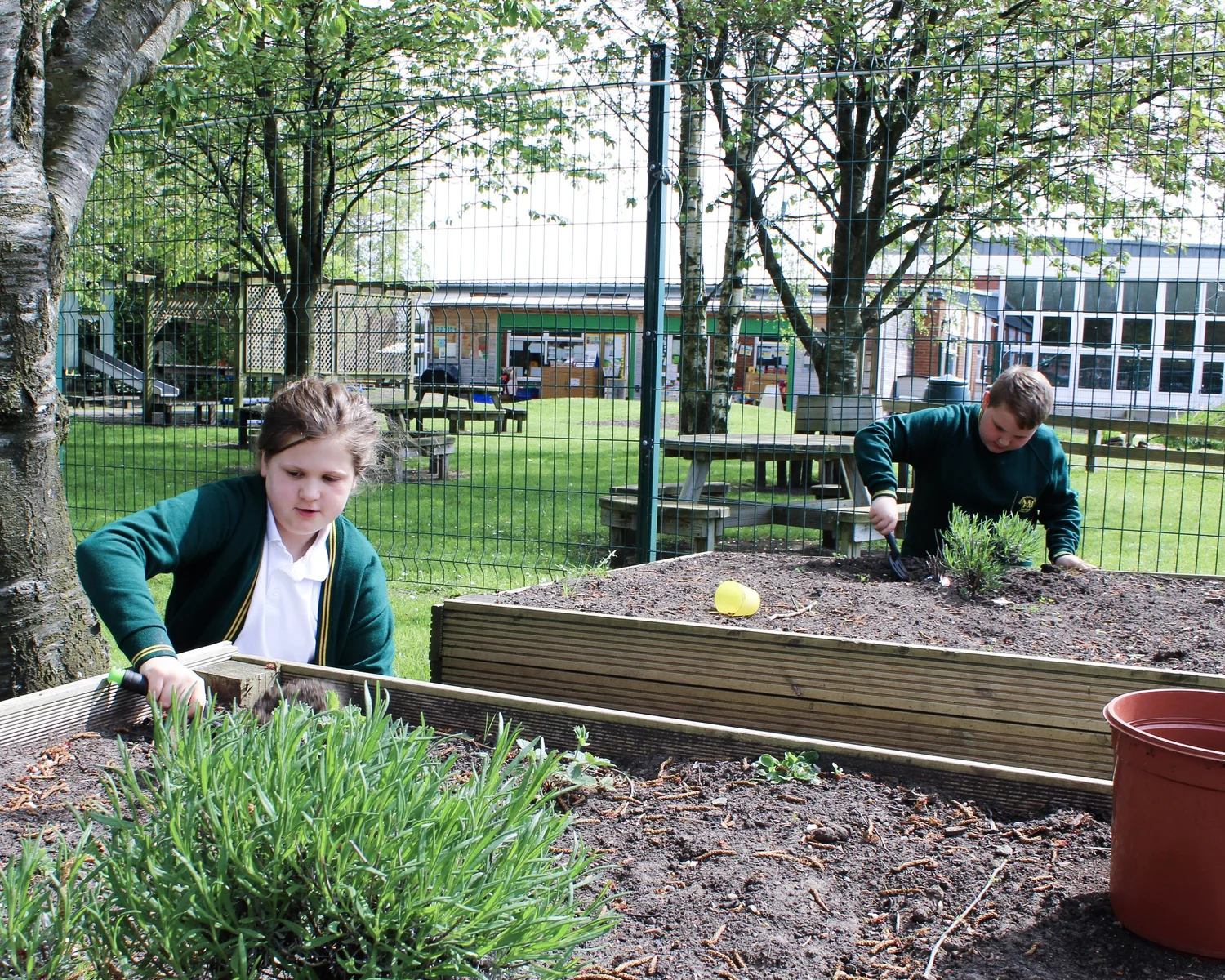 Overview — Fazakerley Primary School