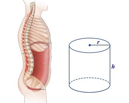 5 Best Core Stability Exercises — Beth Drayer Movement