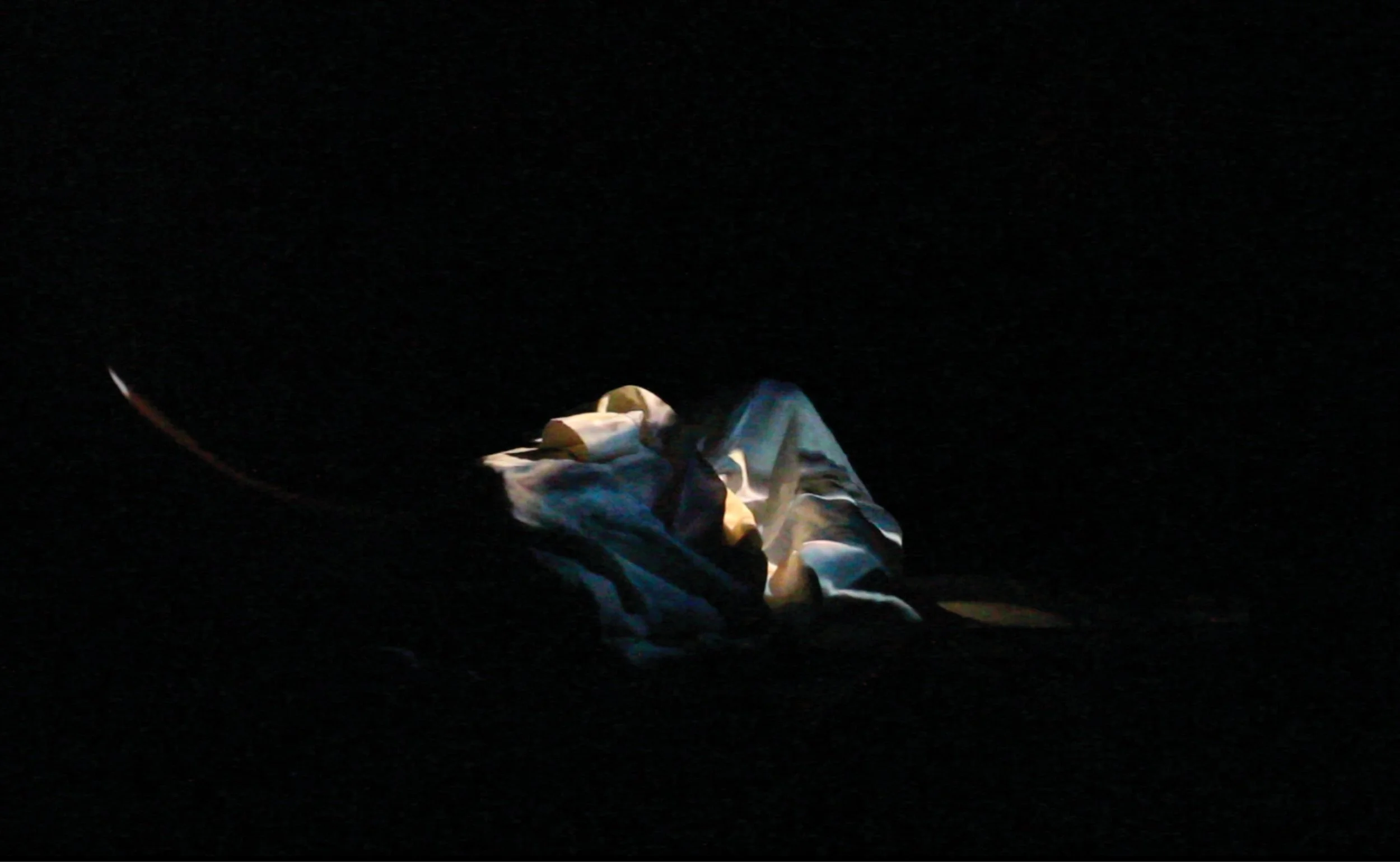 This Is A Very Gorgeous Situation — Vox Populi