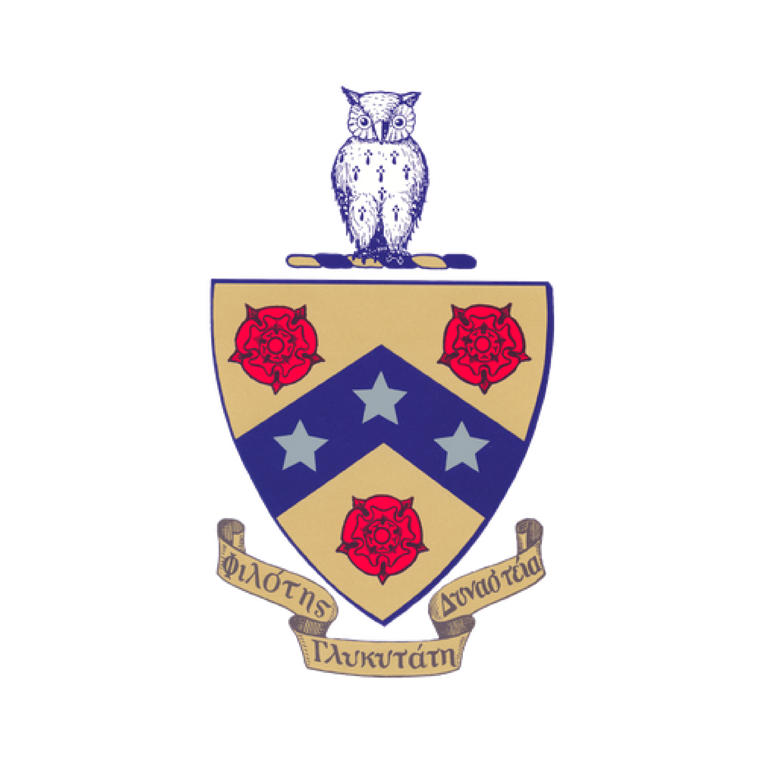 Chapter Profiles — Northeastern IFC