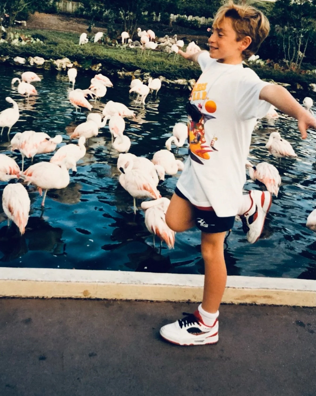 Blog 1 — D'Arcy's Celebration of Life