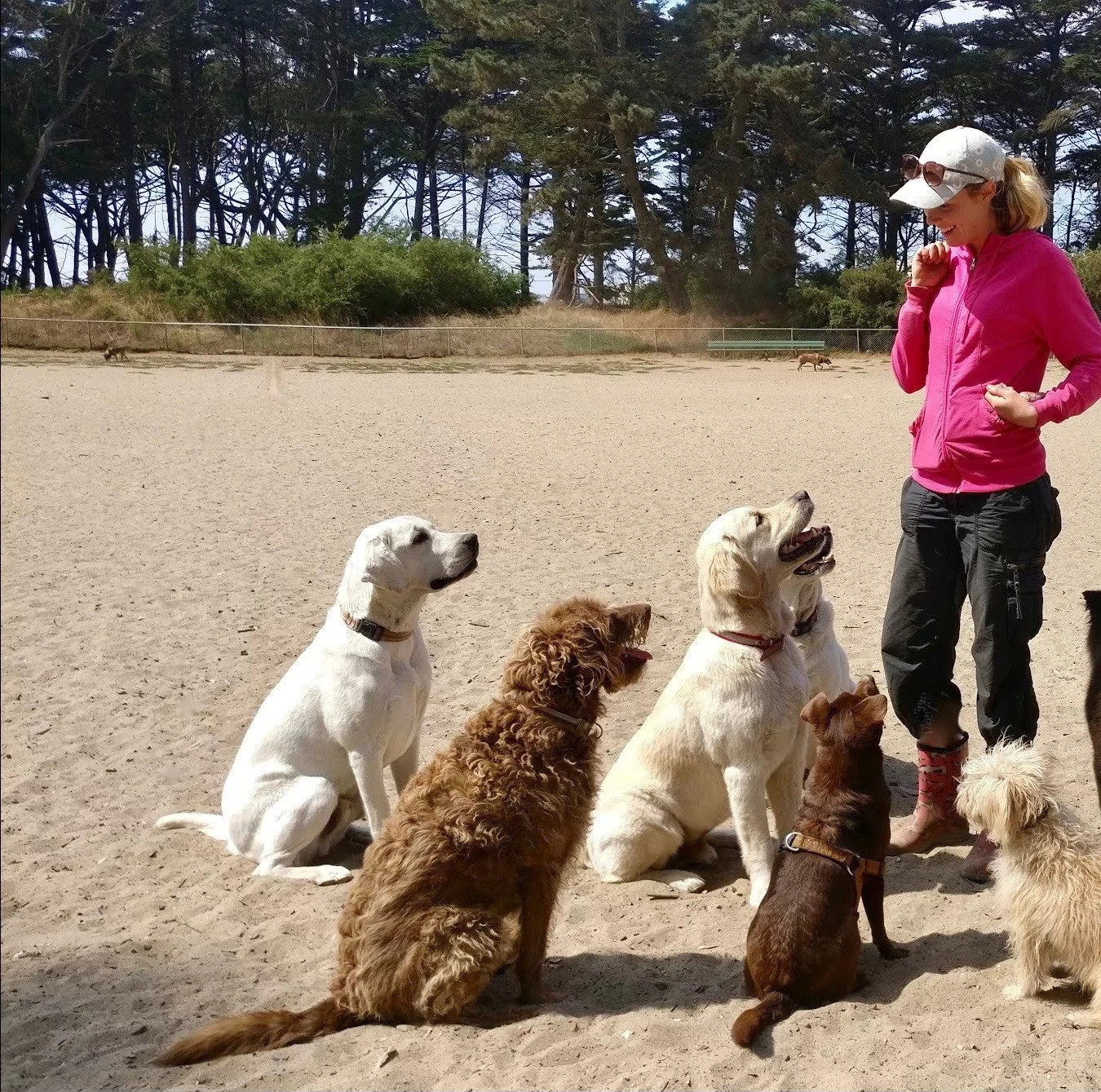 Lucky Paws Tennessee