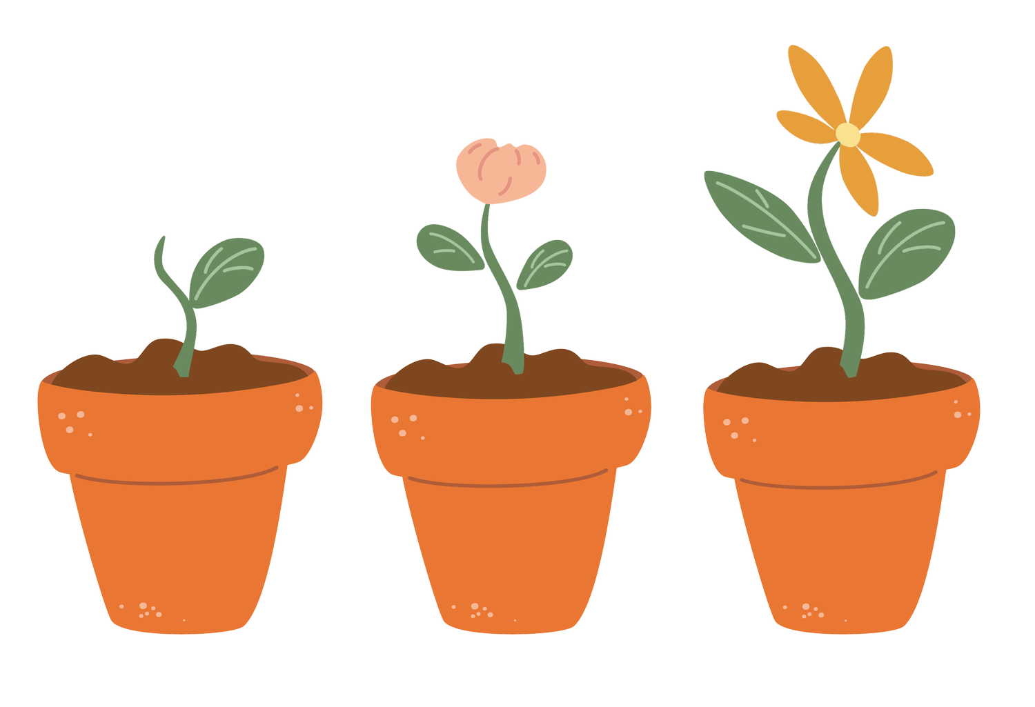 Mission & Values — Positive Alternatives