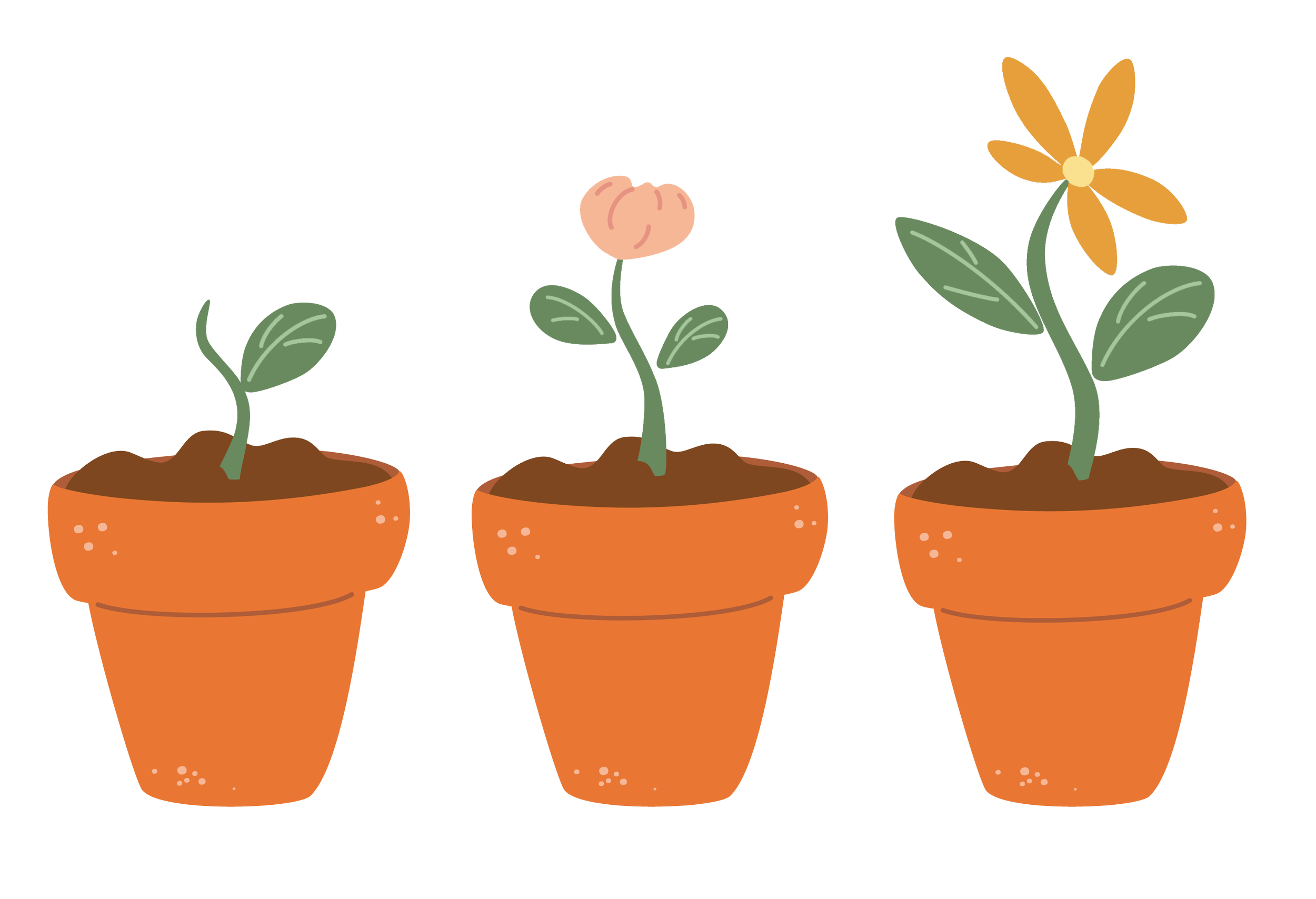 Mission & Values — Positive Alternatives