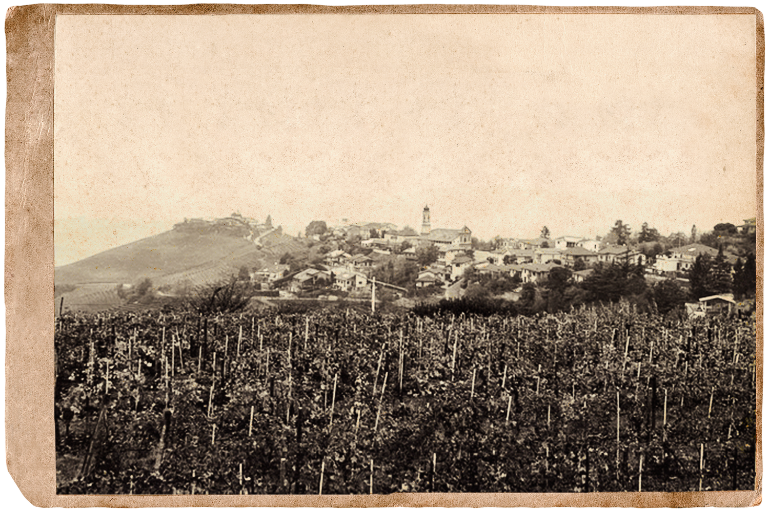 Osteria Langhe: Chicago Italian Food in Logan Square