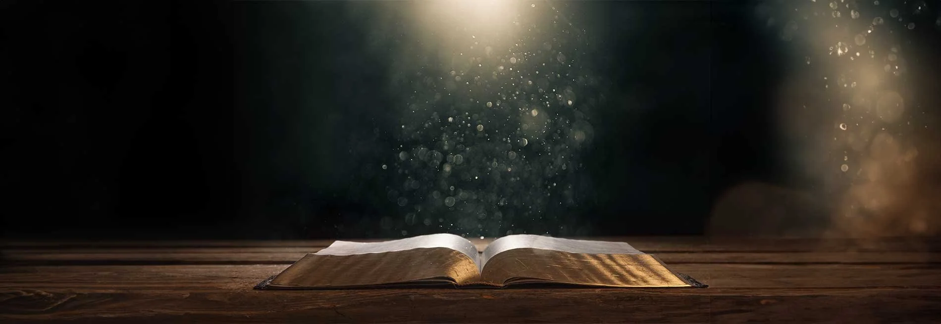 Bible Study — Relentless Heart