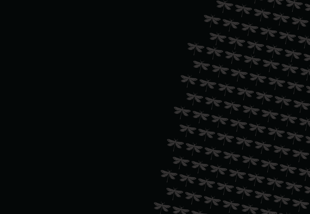 Ashley Michelle Project