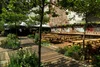 Walnut Garden | Rittenhouse's Urban Cocktail Garden