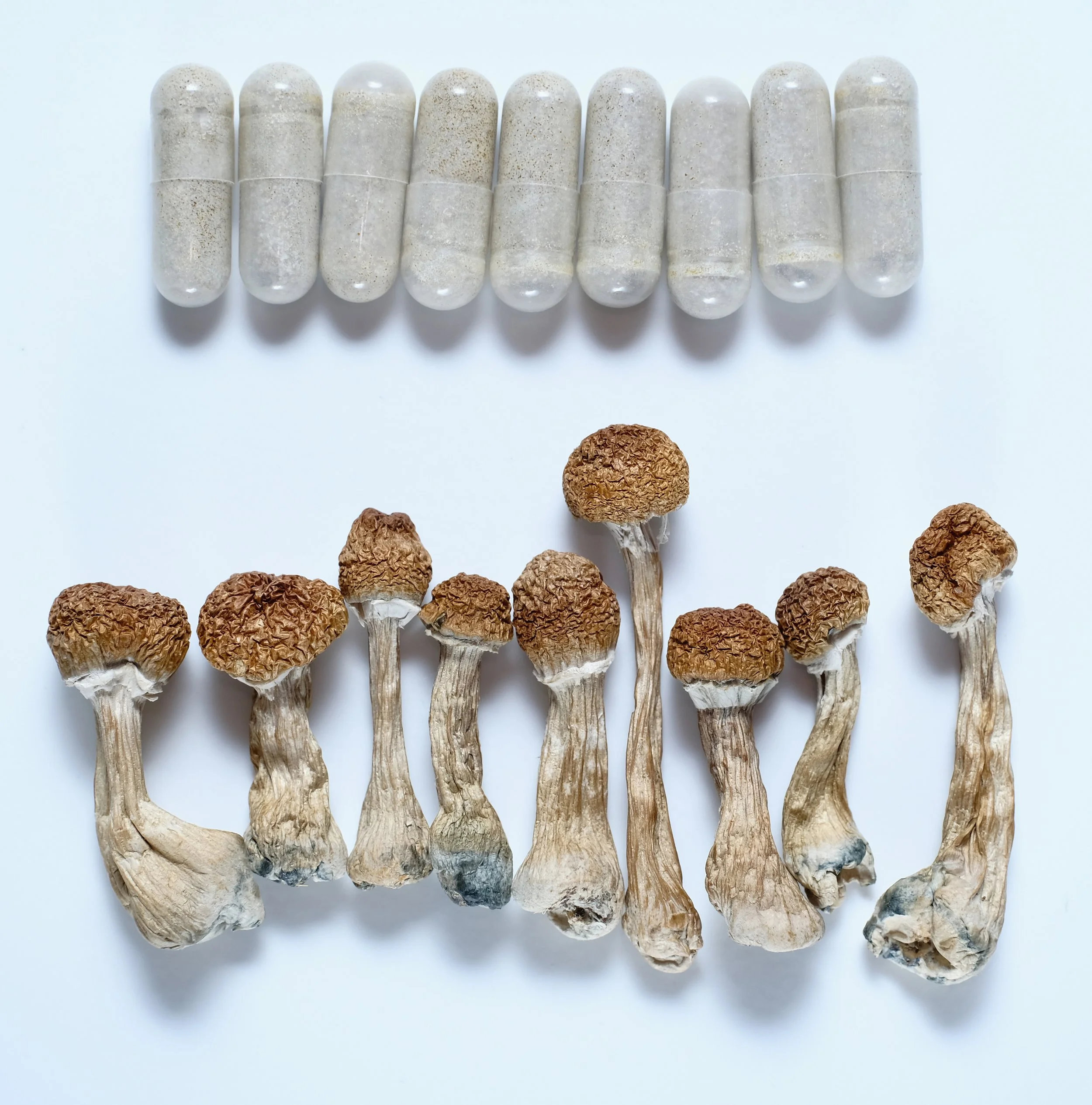 AyuMindDenver psychedelic psychotherapy. Ketamine, microdose support, workshops, and integration ...