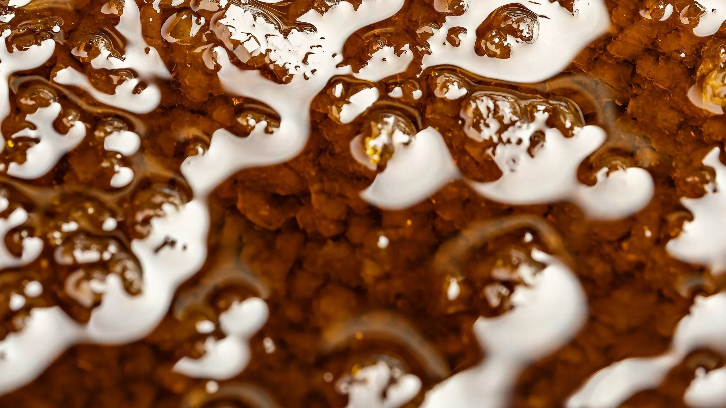 Our Story | DABSTRACT — DABSTRACT