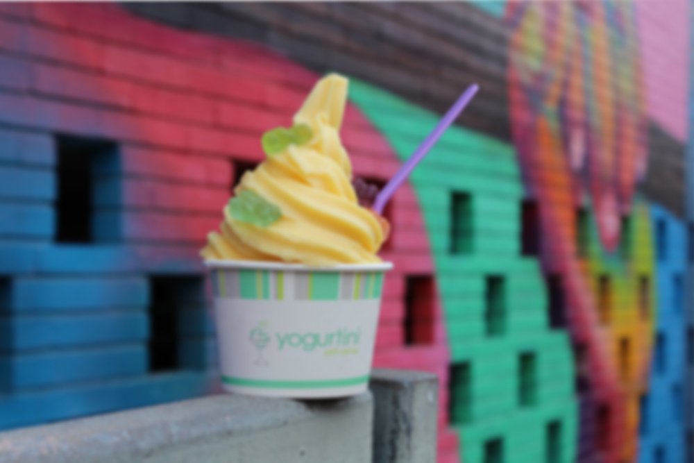 Yogurtini KC — Birch House Clothing Co