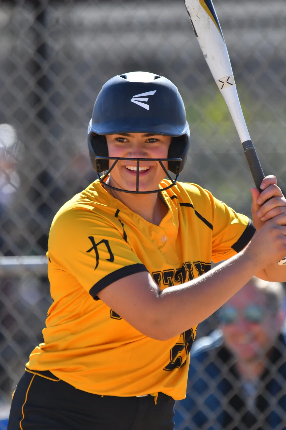 14U Grizzlies Fastpitch 2024 Johnson — MacStrength MN