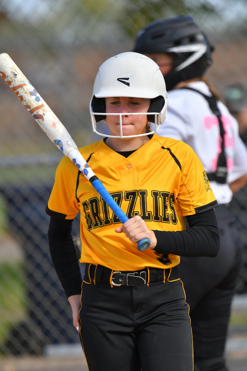 14U Grizzlies Fastpitch 2024 Johnson — MacStrength MN