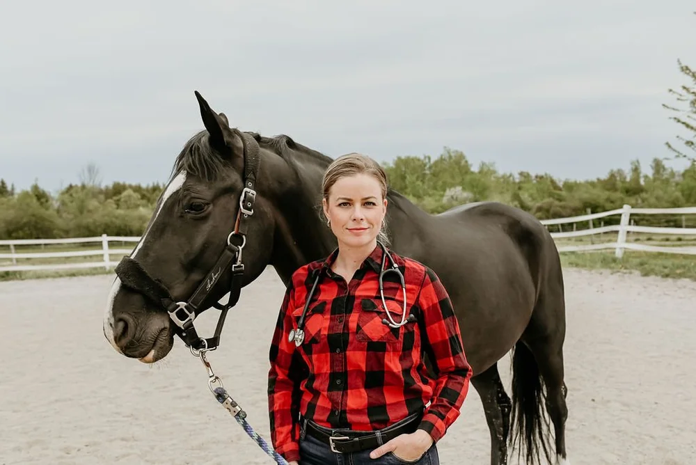 Oak Ridges Equine Vet