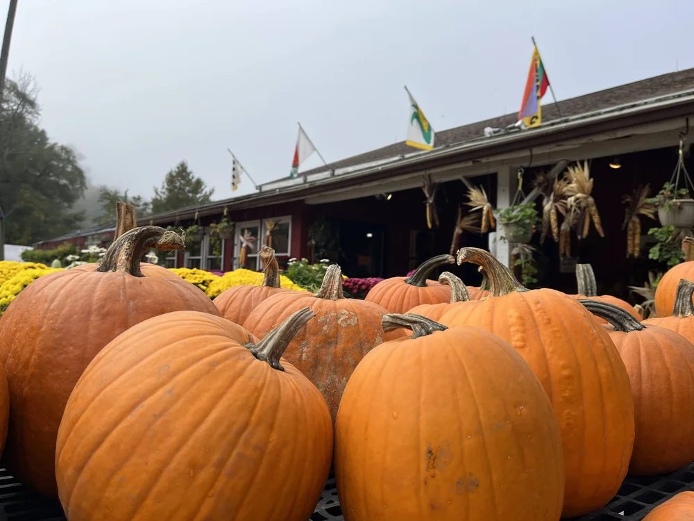 Market — TAFT FARMS