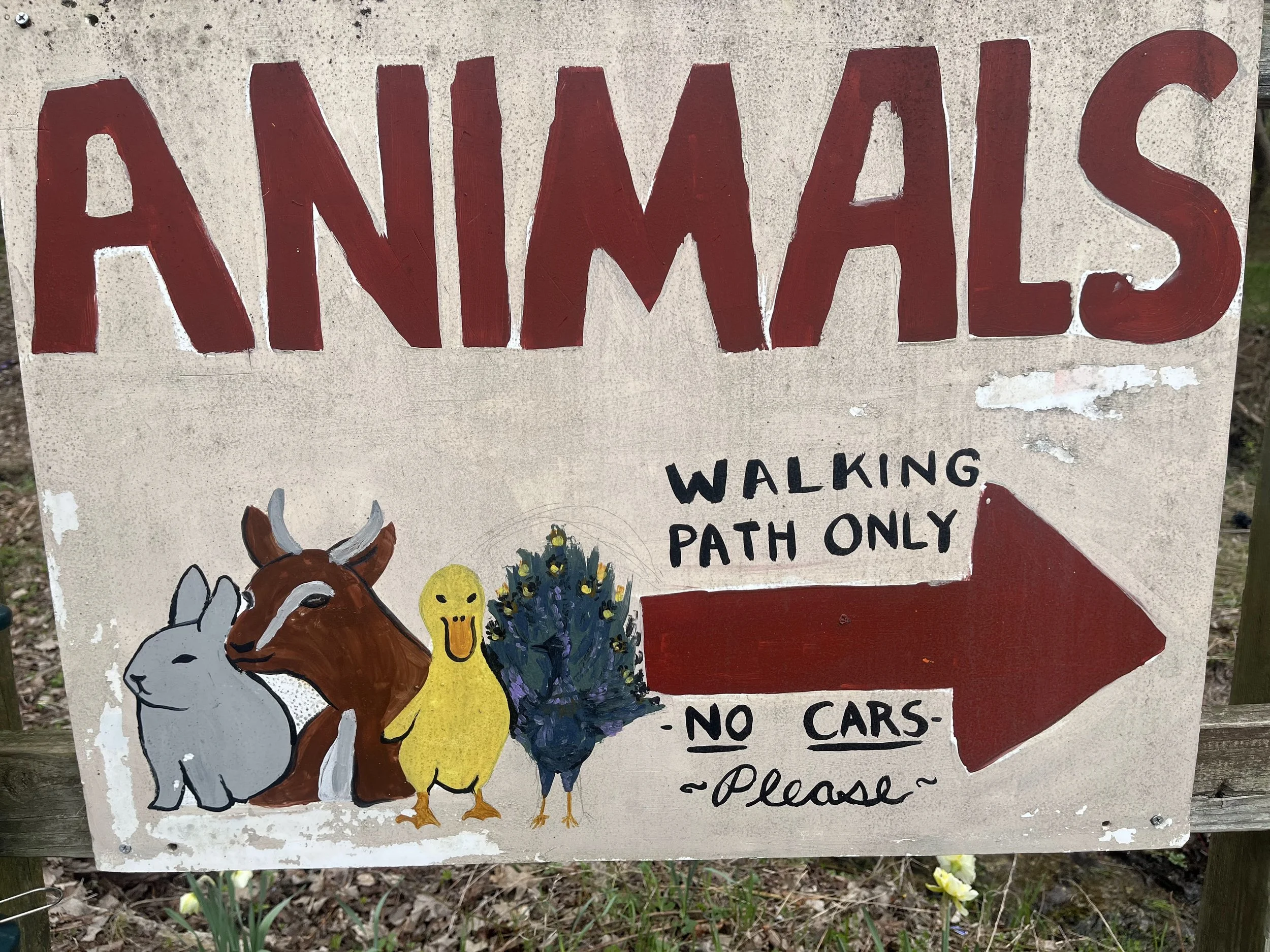 The Animals — TAFT FARMS