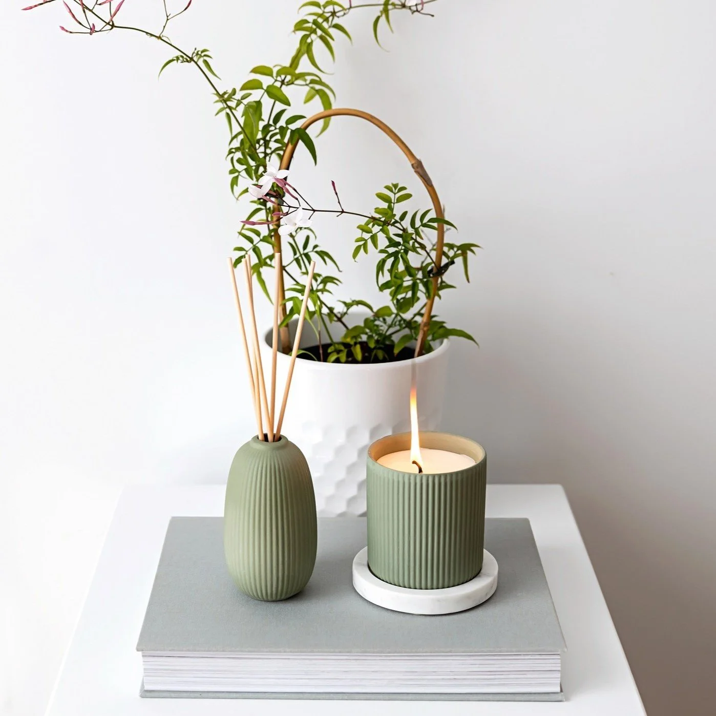 Shop — Hello Petals