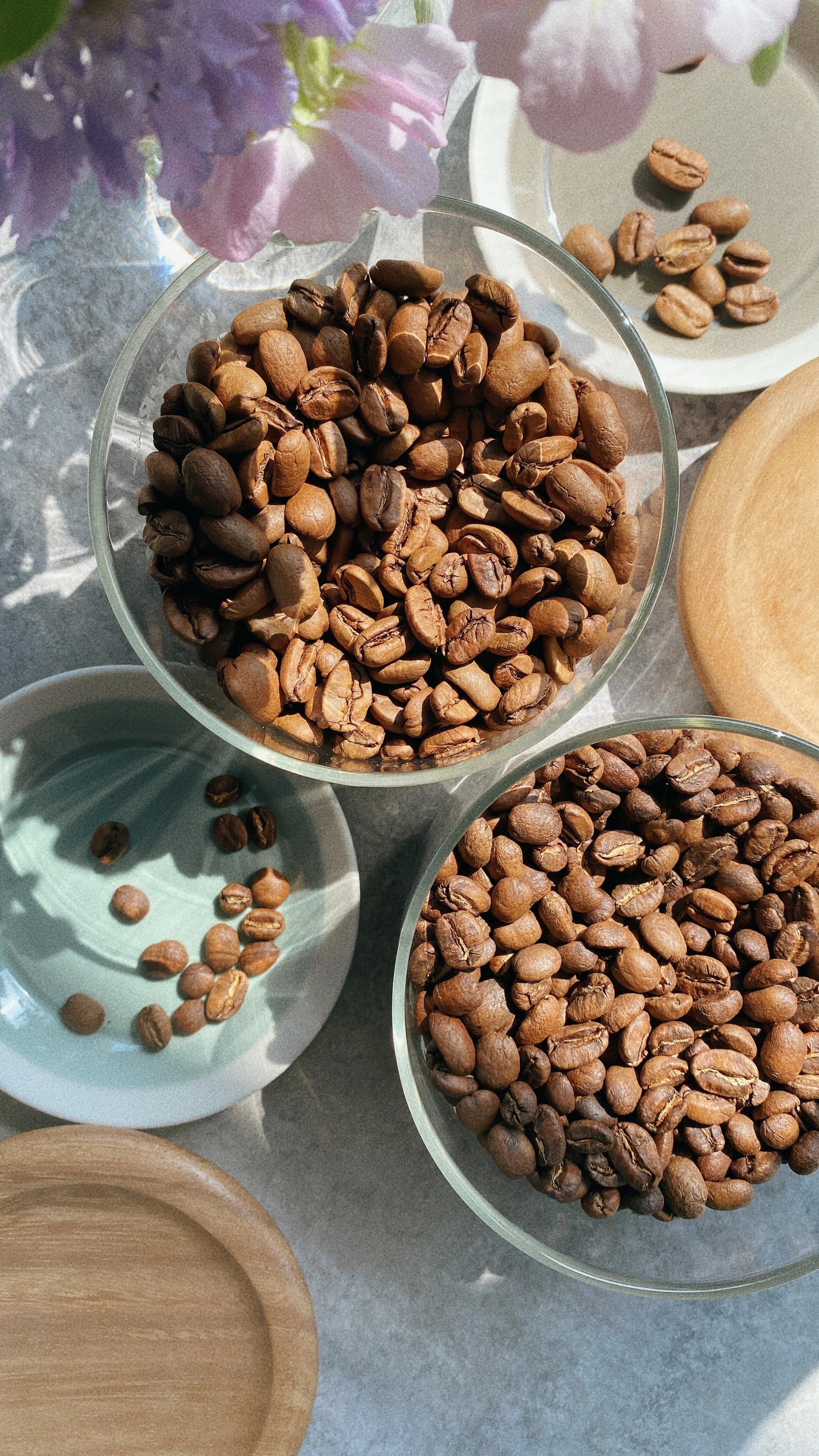 Menu 1 — zenta coffee