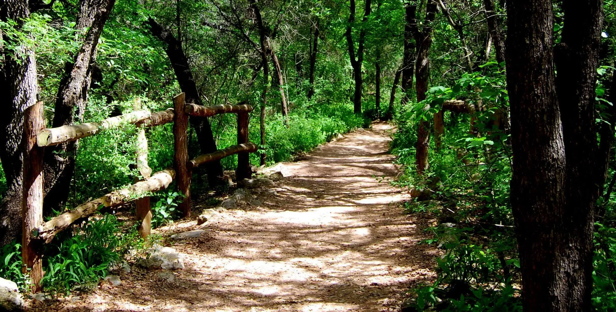 Your Guide To Austin's Barton Creek Greenbelt | The Ultimate Adventure ...
