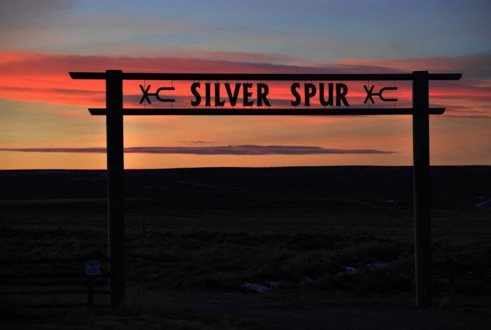 10 Popular Dude Ranches Near Austin | Experience the Cowboy Life!