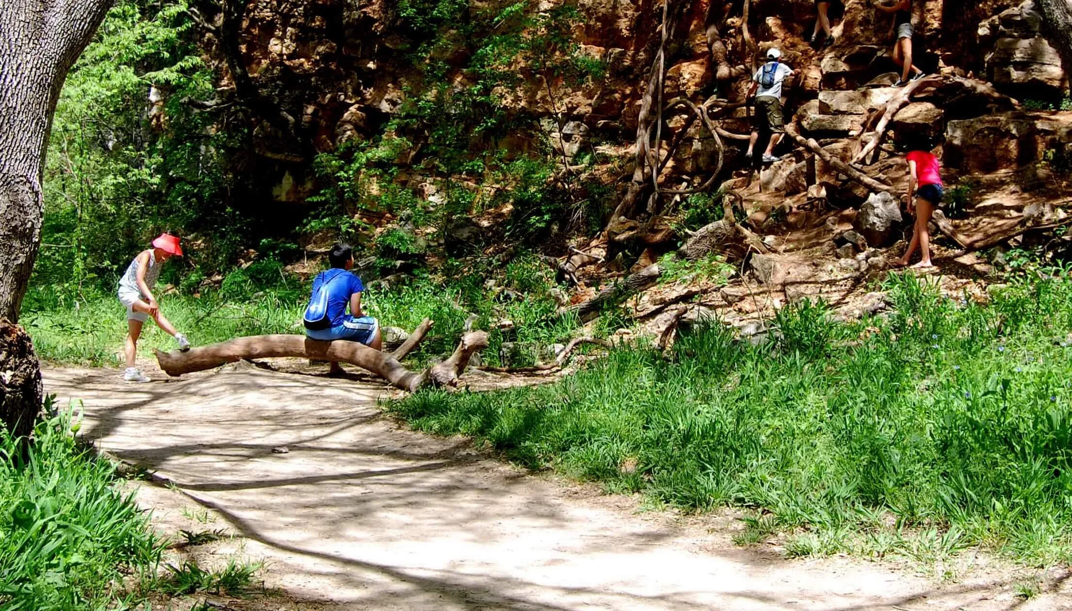 Your Guide To Austin's Barton Creek Greenbelt | The Ultimate Adventure ...