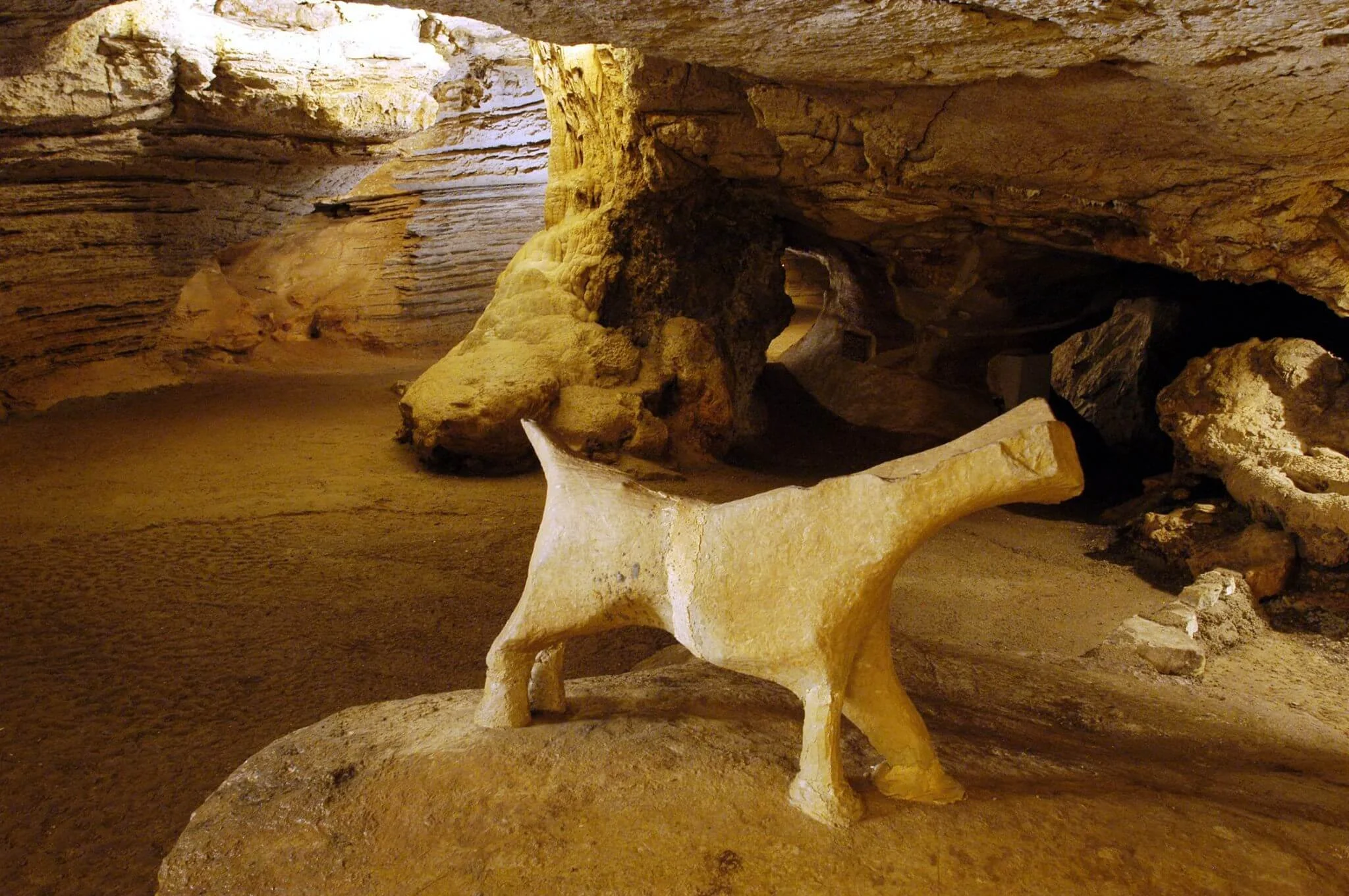 Explore Austin's Caves and Caverns | An Adventurer's Guide