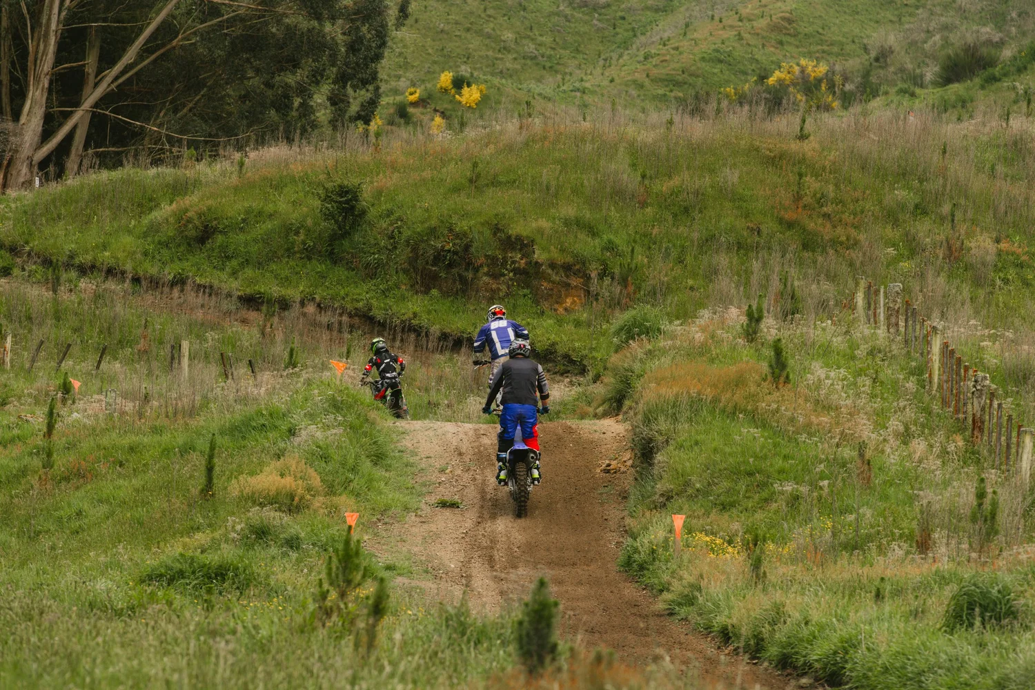 Events — DirtWorld Pukemara