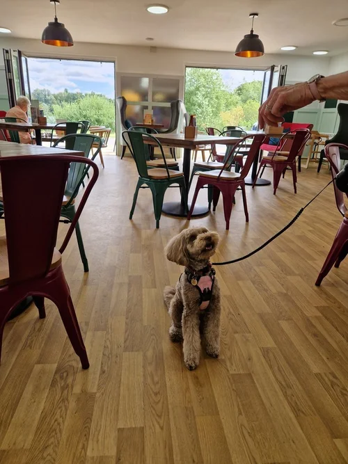 Ferry Meadows Cafe — Lakeside Kitchen and Bar