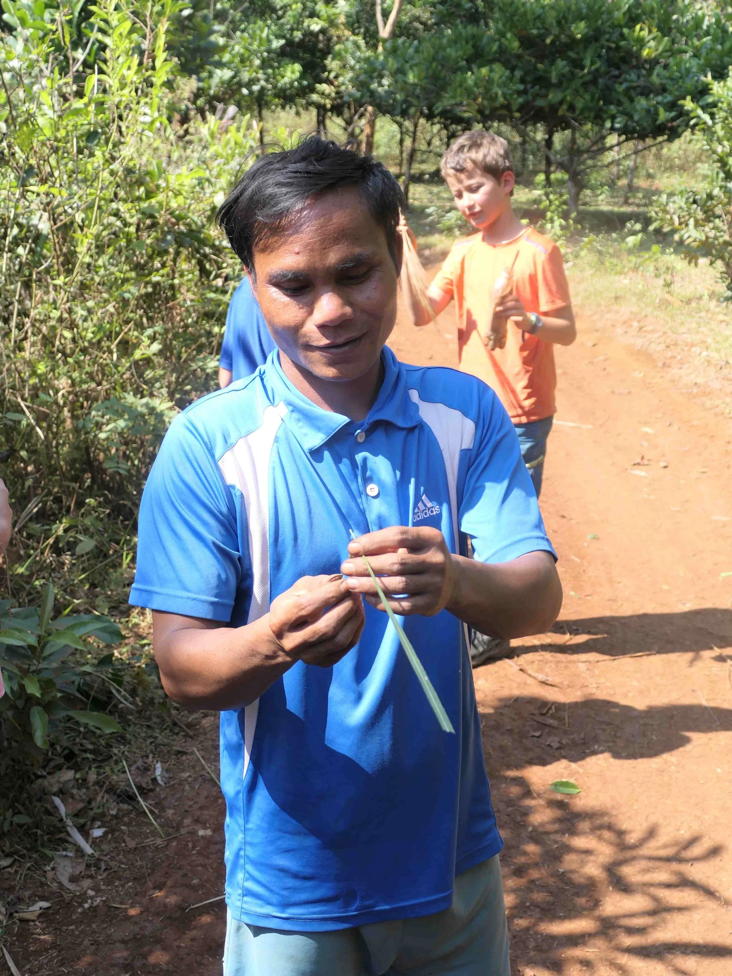 Pakse and the Bolaven Motorcycle Loop -- plantations and waterfalls ...