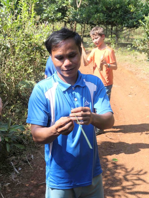 Pakse and the Bolaven Motorcycle Loop -- plantations and waterfalls ...