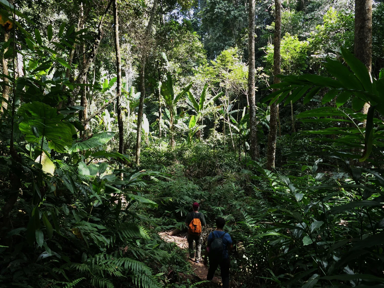 Booking Activities, Lodging and Transport in Laos — Loren's Wanderlust