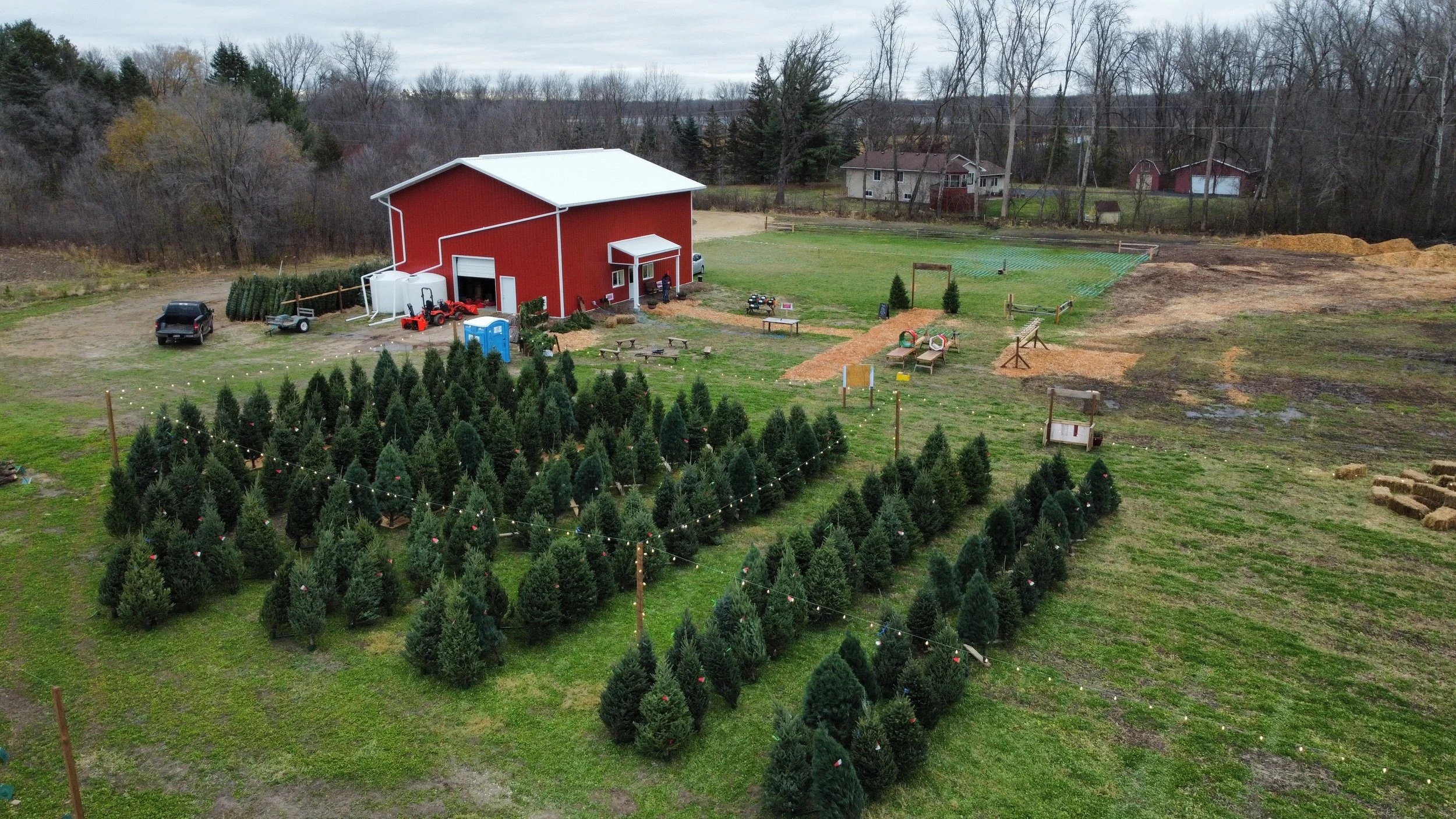 Kavan Family Tree Farm