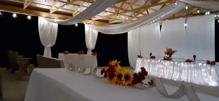 Bison Meat Sales | Feed Bison Farm Tour | Unique Wedding Venue Ohio