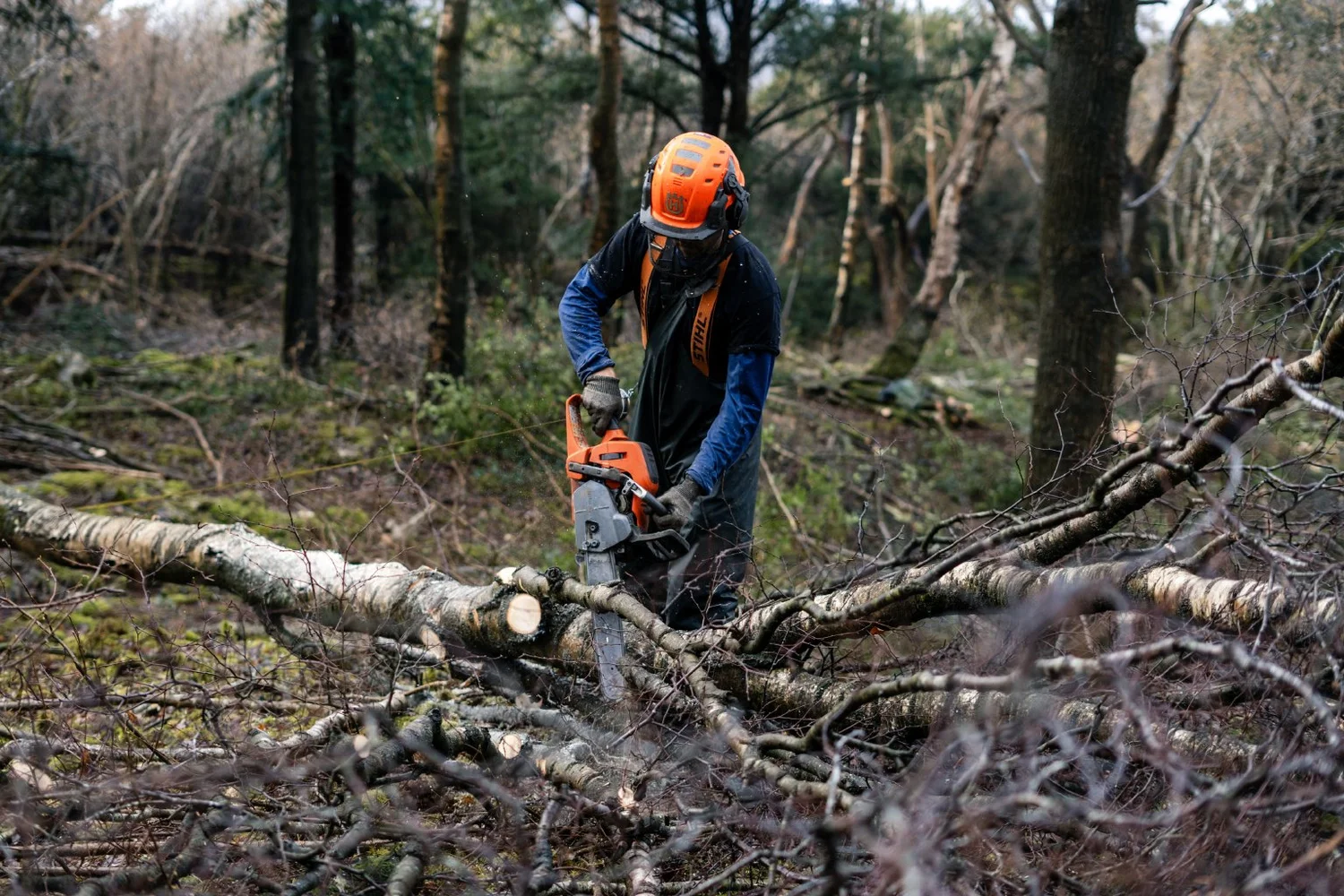 Woodland Managment — The Coppice Co-op