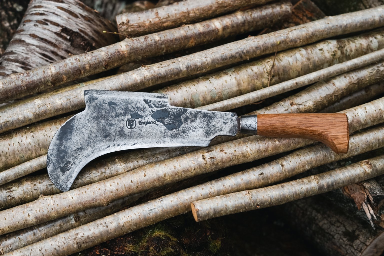 What is coppicing? — The Coppice Co-op