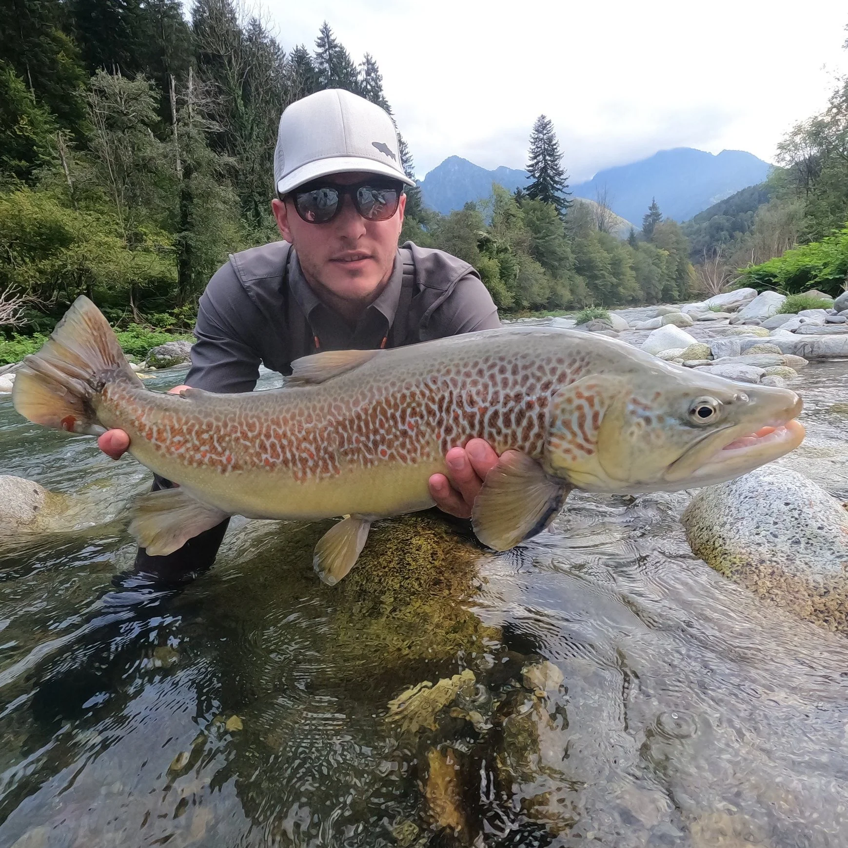 Species — Fishing in the Dolomites