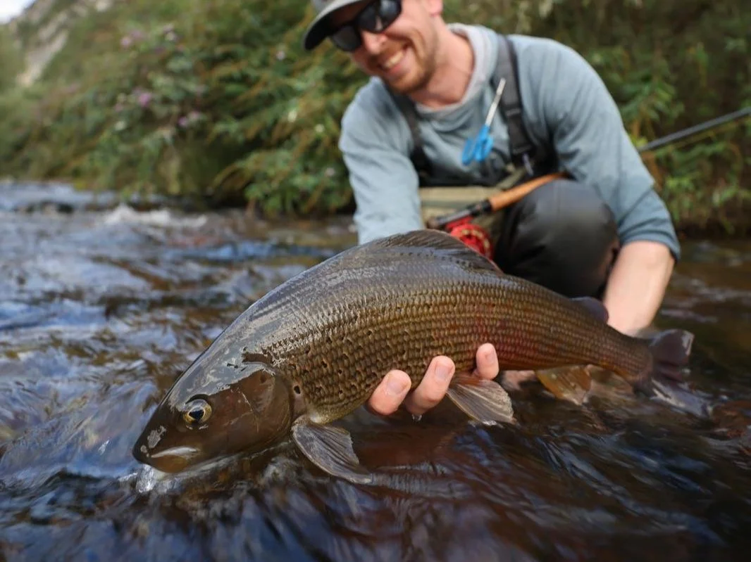 Grayling | Experience Grayling Fishing – Book Now — Fishing in the ...