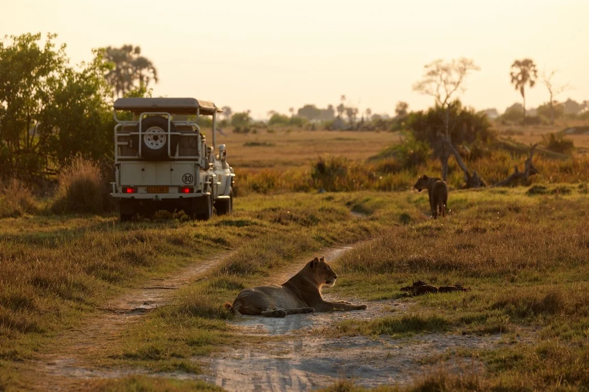 Okavango Delta 6 Days | Discover & Book Now — Black Jackal