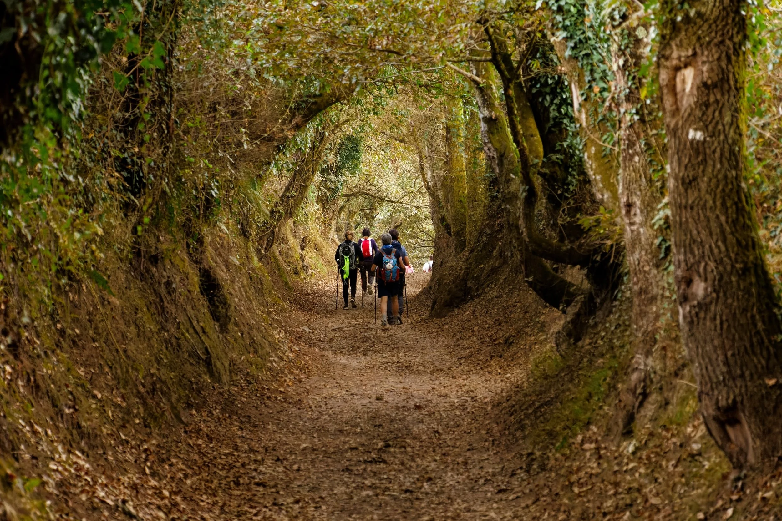Walk the Camino in 2025: Guided, Slack Pack Tours | Black Jackal in ...