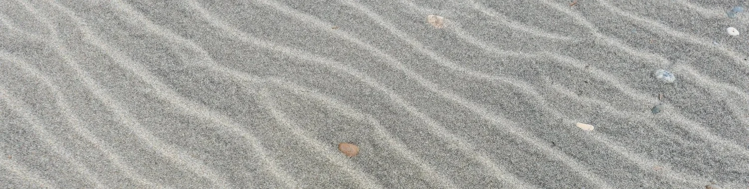 Beach Sand: The Most Vital Rare Earth Mineral — BRING BACK OUR BEACHES