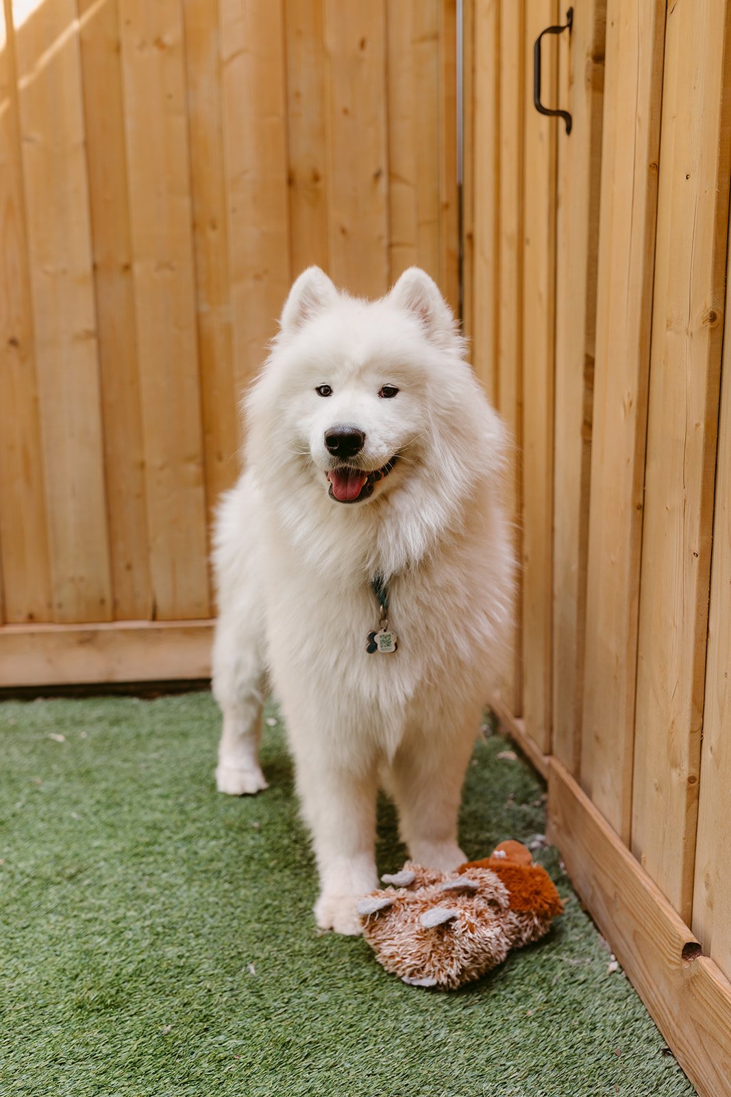 Dog World Resort & Spa