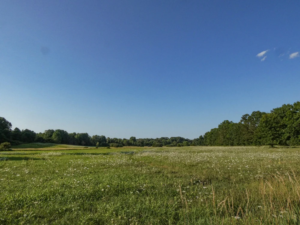 Agendas & Minutes — Garfield County