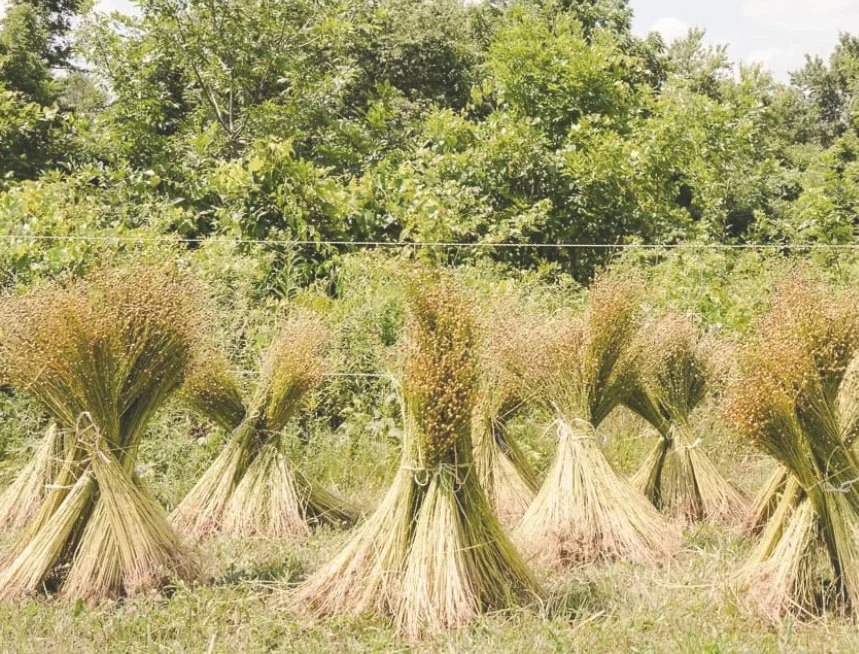 General 2 — The Fibers Fund